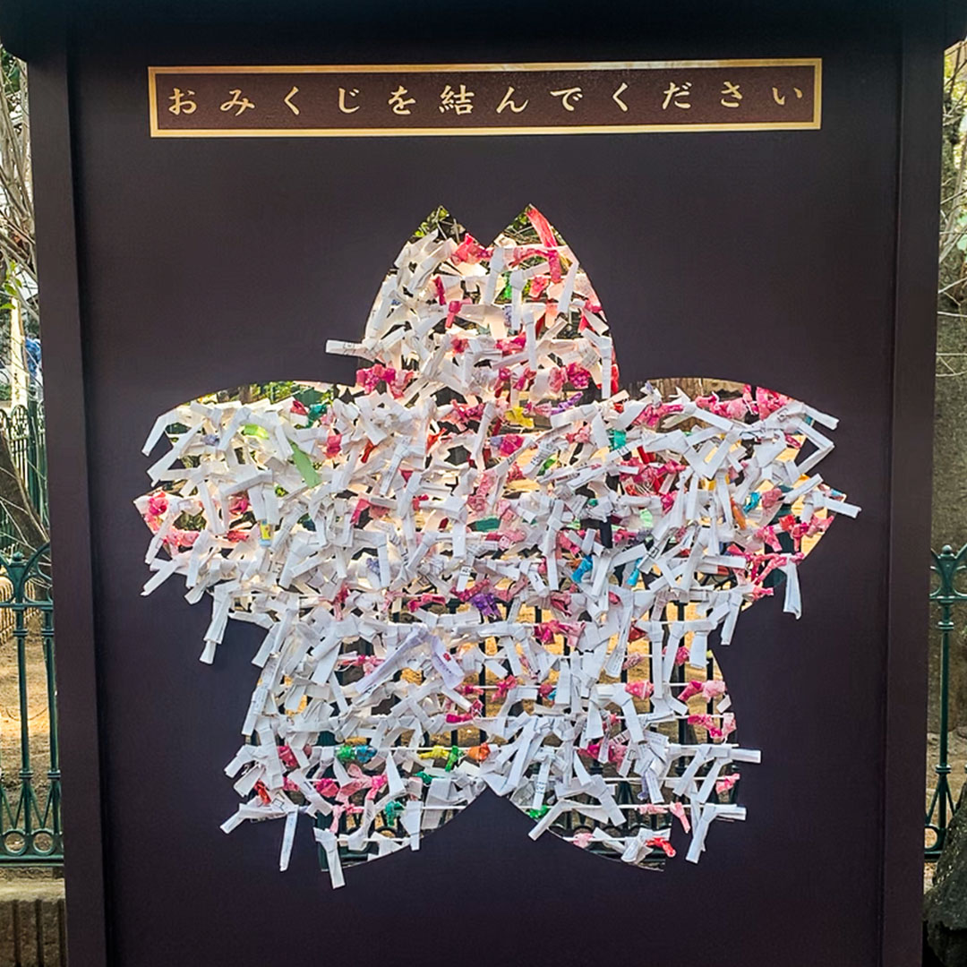 Sakura Jingu Shrine - Cherry Blossoms and Ribbons - Japan Journeys