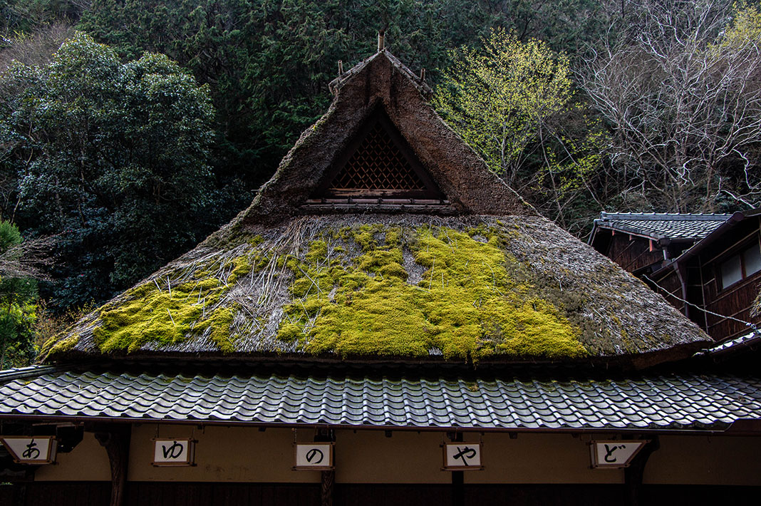 Otagi Nenbutsuji and its 1,200 unique stone statues - Japan Journeys