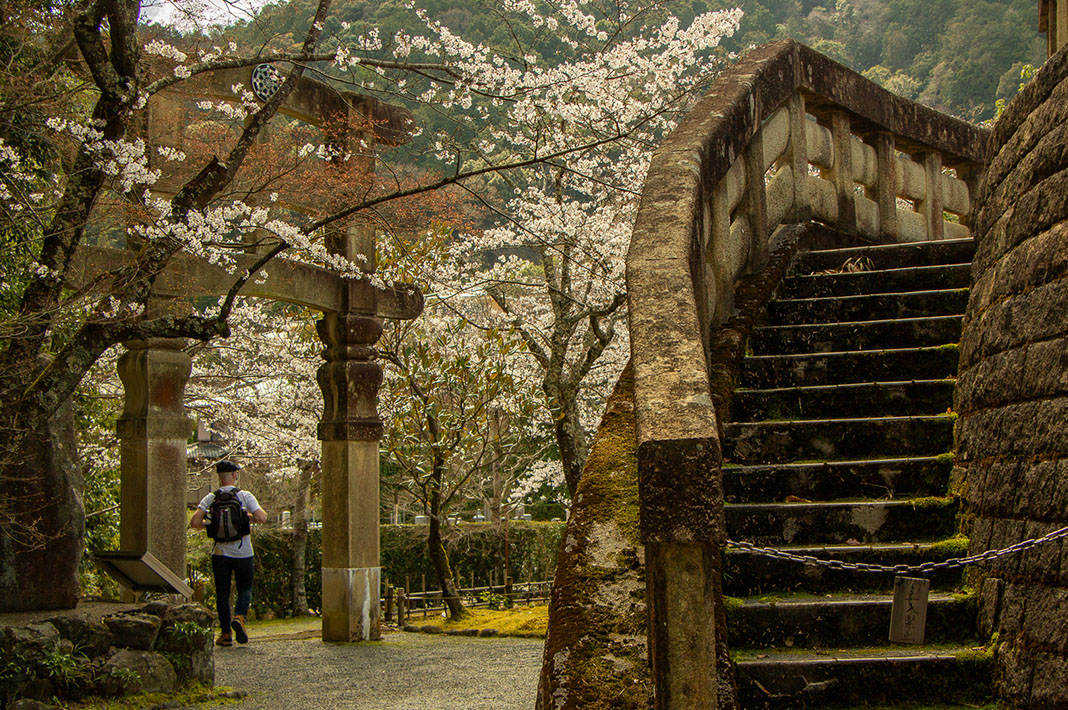 Otagi Nenbutsuji and its 1,200 unique stone statues - Japan Journeys