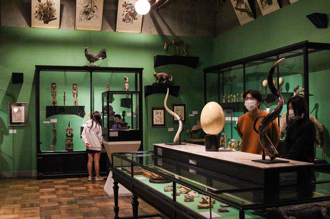 Intermediatheque Museum Tokyo - Japan Journeys