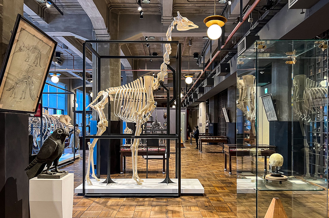 Intermediatheque Museum Tokyo - Japan Journeys