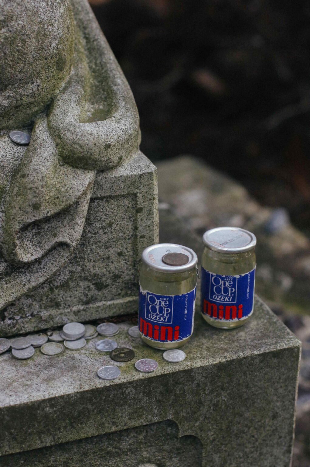 Enryaku-ji Temple: Mt Hiei's Hidden Wonder