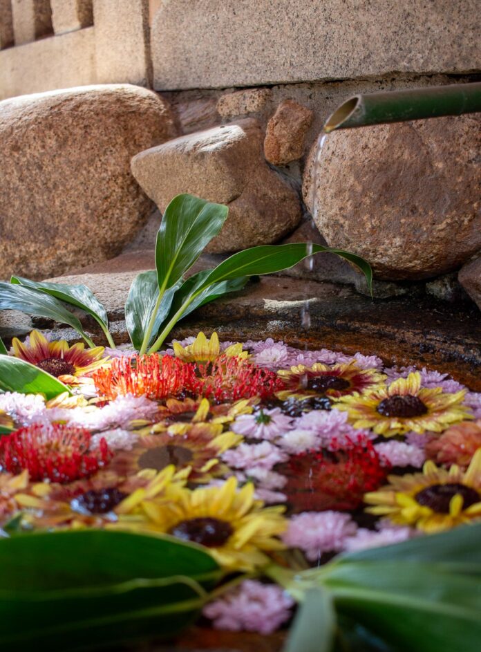 Beef, Jazz and History: Things to do in Kobe - Japan Journeys